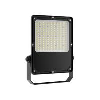 China High Efficiency 150W Flood Light 50 Watt Flood Light Fixtures  For Garden Lighting Landscaping for sale