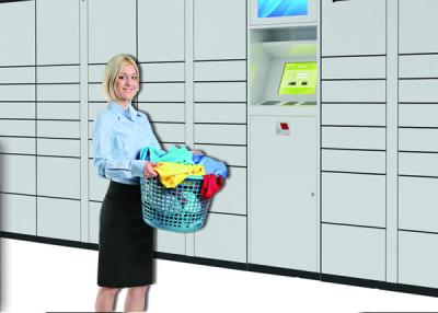 China Semi Outdoor Smart IC Card Reader The Cleaning Locker For Commercial Laundry Services for sale