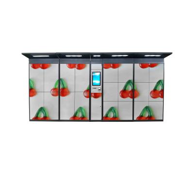 China Self Pick Up Parcel Delivery Locker Remote Control Platform Security Camera With Safety Locks for sale