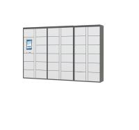 China Automation Digital Pin Code Smart Luggage Storage Locker With Face Recognition Barcode for sale