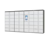 China Automation Digital Pin Code Smart Luggage Storage Locker With Face Recognition Barcode for sale