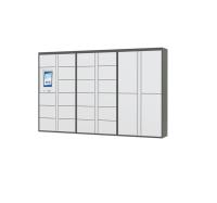 China Smart Electronic Intelligent System Luggage Lockers Contactless Parcel For Gym School for sale