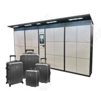 China Smart School Gym Airport Beach Concert Luggage Bag Storage Rental Locker With Remote Management for sale