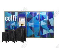 China Smart School Gym Airport Beach Concert Luggage Bag Storage Rental Locker With Remote Management for sale