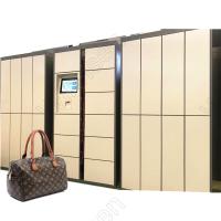 China Smart Outdoor Beach Luggage Package Deposit Storage Rental Dropoff Pickup Locker for sale