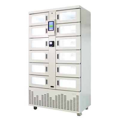 China Remote Control Refrigerator Locker for sale