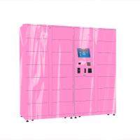 China Food Market Refrigerated Frozen Locker Electronic Storage Fresh Flowers Lockers for sale