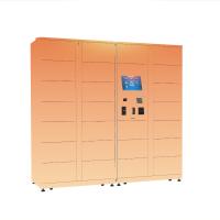 China Winnsen Flowers Goods Refrigerated Locker Eggs Remote Control for sale