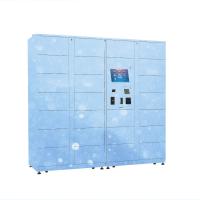 China Winnsen 24 Hours Refrigerated Frozen Locker Self Service Fresh Flowers Food Market for sale