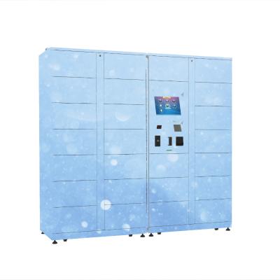 China Winnsen 24 Hours Refrigerated Frozen Locker Self Service Fresh Flowers Food Market for sale