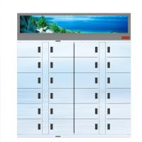 China Winnsen Flowers Goods Refrigerated Locker Eggs Remote Control for sale