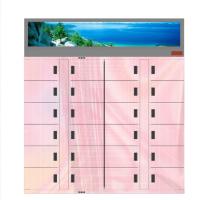 China Food Market Refrigerated Frozen Locker Electronic Storage Fresh Flowers Lockers for sale