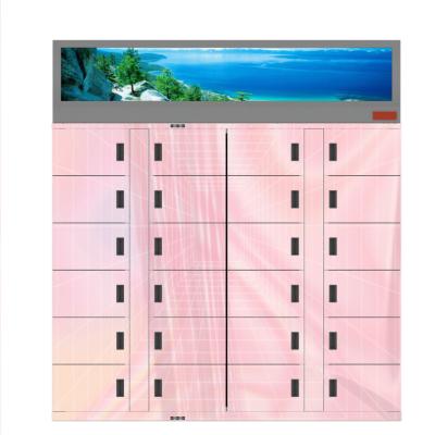 China Food Market Refrigerated Frozen Locker Electronic Storage Fresh Flowers Lockers for sale