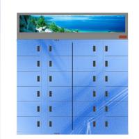 China Winnsen Vegetable Refrigerated Locker Smart Electronic Goods Locker for sale