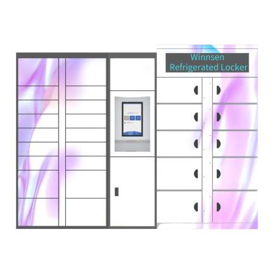 China Indoor Refrigerated Parcel Locker 24Hours Self Service Smart Cabinet Fruit for sale