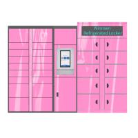 China Winnsen Cabinet Vegetable Refrigerated Locker Electronic Storage Smart Lockers for sale