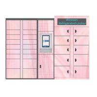 China Winnsen Smart Refrigerated Cabinet Locker 240V Food Icecream Frozen Lockers for sale