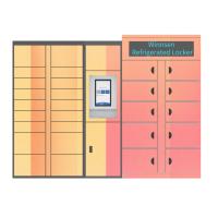 China Goods Smart Refrigerated Locker Smart Electronic Vegetable Frozen for sale