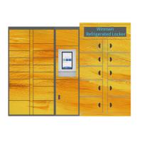 China OEM ODM Smart Refrigerated Locker 100V Cabinet Meat Smart Frozen for sale