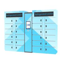 China OEM ODM Smart Refrigerated Locker 100V Cabinet Meat Smart Frozen for sale