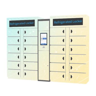 China Winnsen Smart Refrigerated Cabinet Locker 240V Food Icecream Frozen Lockers for sale