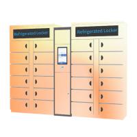 China Smart Vegetable Refrigerated Locker Electronic Cabinet Cold Rolled Steel for sale