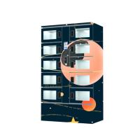 China Market Shopping Refrigerated Cabinet Locker LED Mall Using Smart for sale