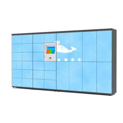 China Wardrobe Storage Laundry Lockers CRS Cabinet With Hanger For School Gym for sale