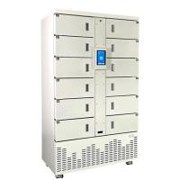 China 12Doors Smart Frozen Locker Freezer Cabinet For Restaurant Office Building 15.6'' for sale