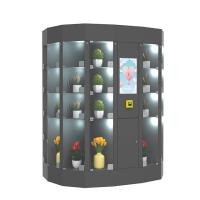 China Fresh Flower Locker Vending Machine 240V With Refrigerate Cooling System for sale