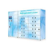 China Cold Food Delivery Refrigerated Electronic Locker With Remote Control 240V for sale