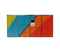 China Smart QR Scanner Medicine Parcel Delivery Locker With Remote Platform Security Camera for sale