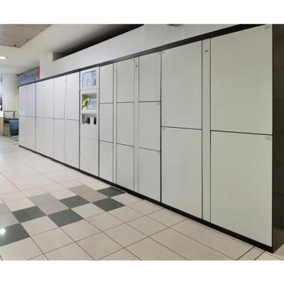 China Smart Library Luggage Locker Outdoor Storage Deposit With Big Touch Screen for sale