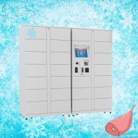 China Market Goods Refrigerated Locker With Multi Languages And WiFi Module for sale