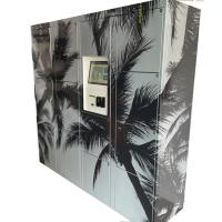 China Self Service Laundry Room Metal Locker For Washed Clothes for sale
