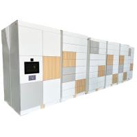 China Shopping Mall Staduim Parcel Delivery Locker 60Hz 240V With Big Screen for sale