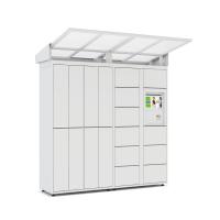 China 24/7 Dry Cleaners Laundry Room Lockers Smart Storage Cabinet for sale