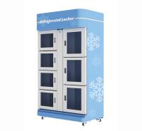 China Hot Selling Grid Flowers Vending Machine Egg Vending Locker With Cooling System For Hotel Shopping Mall Hospital for sale
