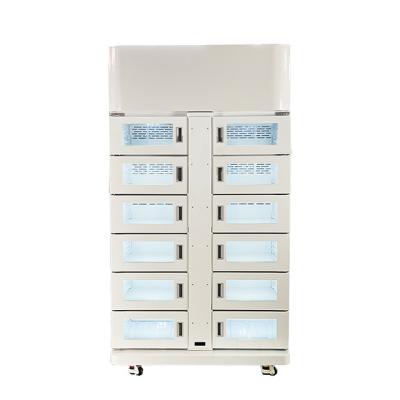 China Fresh Food Delivery Parcel Locker Refrigerated Smart Locker for sale
