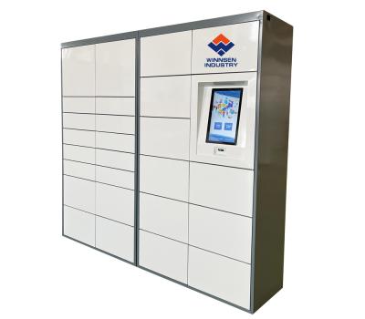 China China Smart Intelligent Parcel Delivery Locker With Pair To Open Connection For E Commerce Online Purchase for sale
