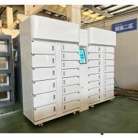 China Real-Time Monitoring And Control Secure Frozen Storage Locker With Different Sizes Doors for sale