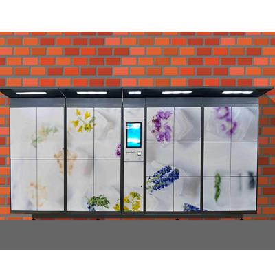 China Customizable Last Mile Intelligent Postal Parcel Delivery Locker Outdoor Use for sale