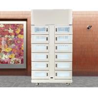 China Fresh Food Smart Cooling Refrigerated Locker For Supermarket Online Sales for sale