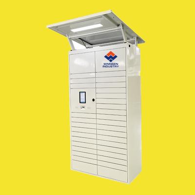 China 7/24 Intelligent Courier Cabinet Electronic Parcel Deliver Locker With Software Development for sale