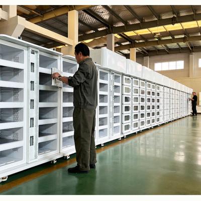 China Smart Intelligent Steel Refrigerated Lockers Food Delivery Electronic Restaurant Locker for sale