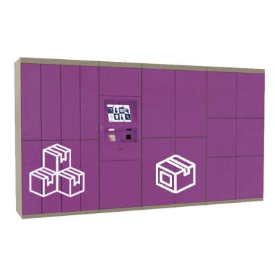 China Winnsen Spot Casiers Outdoor Intelligent Waterproof Electronic Express Locker for sale