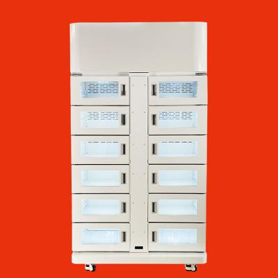 China Winnsen Cold Chain Frozen Smart Electronic Refrigerated Parcel Delivery Locker System For Pizza Cake for sale