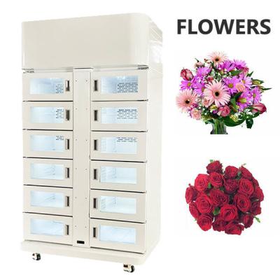China Metal Self Service Smart Refrigerated Food Fresh Locker Frozen Storage Locker for sale