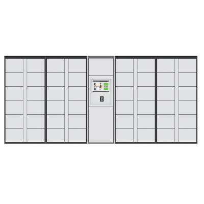 China OEM parcel delivery lockers Customized Multi Door Post Box Business Commercial For Rental for sale