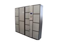 China Theme Park Gym Smart Luggage Cabinet Storage Locker With Coin Operated for sale